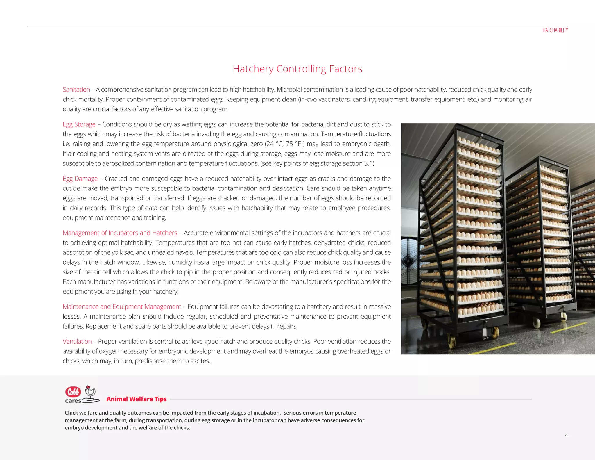 Hatchery guide cobb poultry | PDF