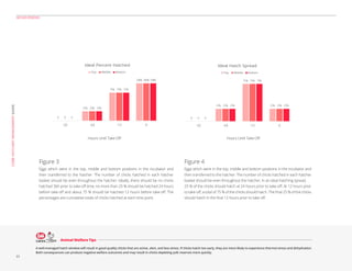 Hatchery guide cobb poultry | PDF