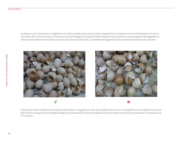 Hatchery guide cobb poultry | PDF | Infertility | Reproductive Health