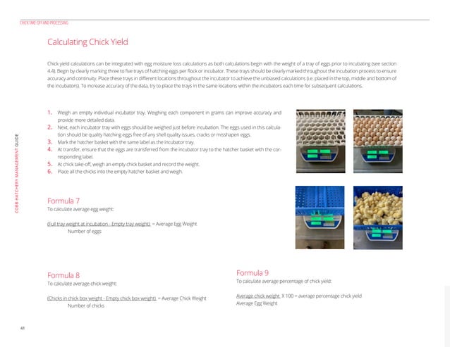 Hatchery guide cobb poultry | PDF | Infertility | Reproductive Health