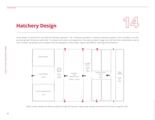 Hatchery guide cobb poultry | PDF
