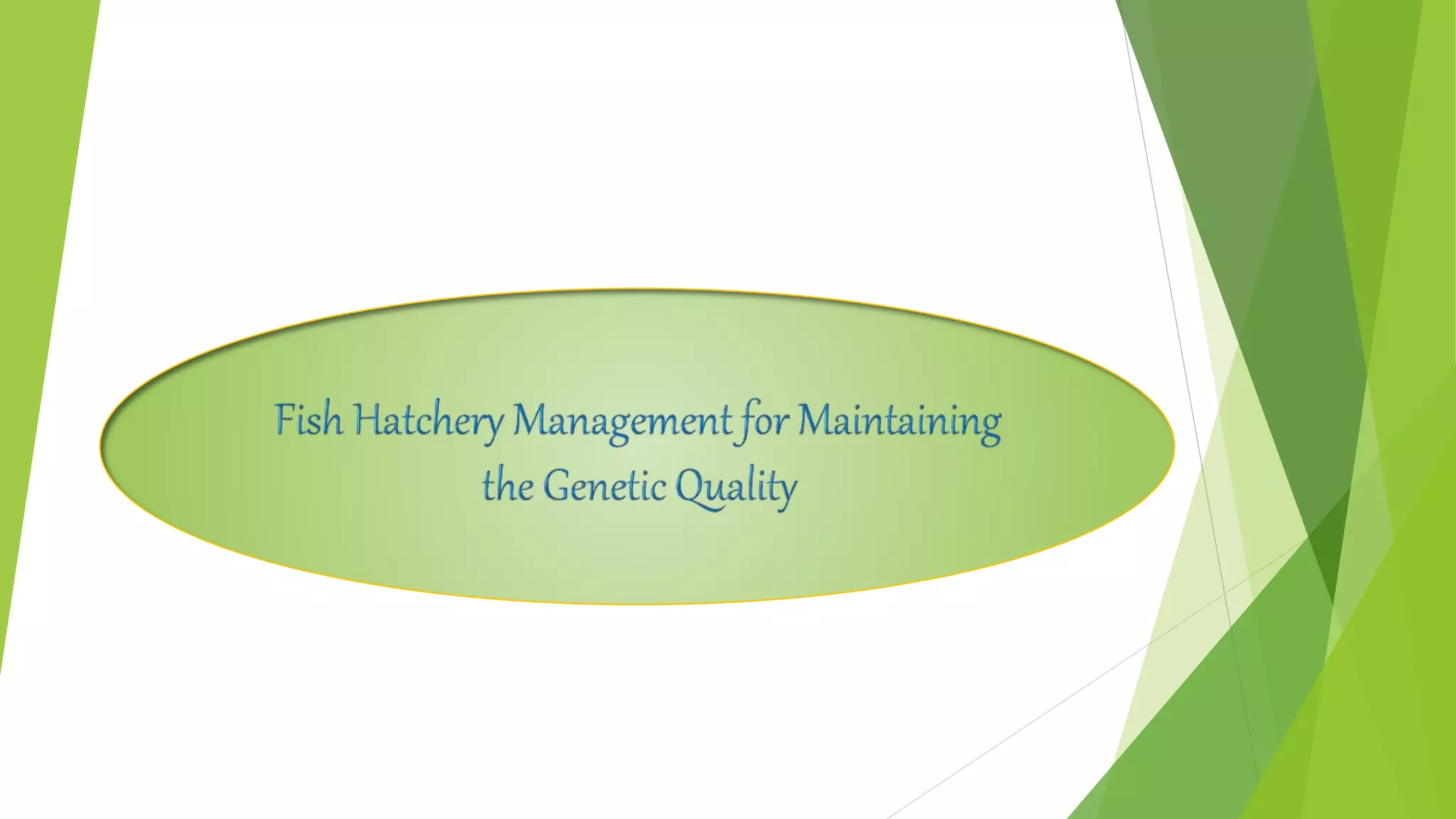 Fish Hatchery Management for Maintaining the Genetic Quality | PPTX