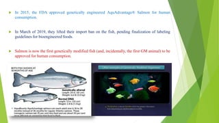 Fish Hatchery Management for Maintaining the Genetic Quality | PPT
