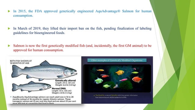 Fish Hatchery Management for Maintaining the Genetic Quality | PPT