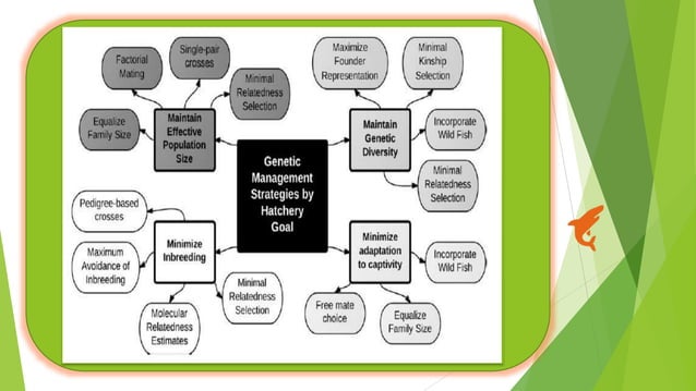 Fish Hatchery Management for Maintaining the Genetic Quality | PPT