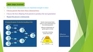 Fish Hatchery Management for Maintaining the Genetic Quality | PPT