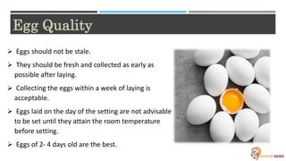 Hatchery Poultry Farming | PPTX