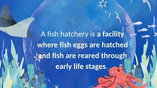 Hatchery Design and Management in Aquaculture | PPTX