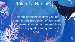 Hatchery Design and Management in Aquaculture | PPTX