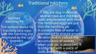 Hatchery Design and Management in Aquaculture | PPTX