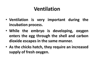 Hatchery Management | PPTX