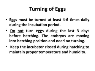 Hatchery Management | PPTX