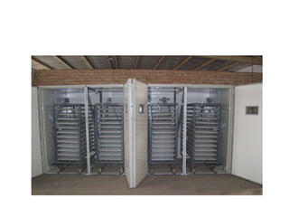 Hatchery Management | PPTX