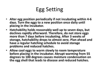 Hatchery Management | PPTX