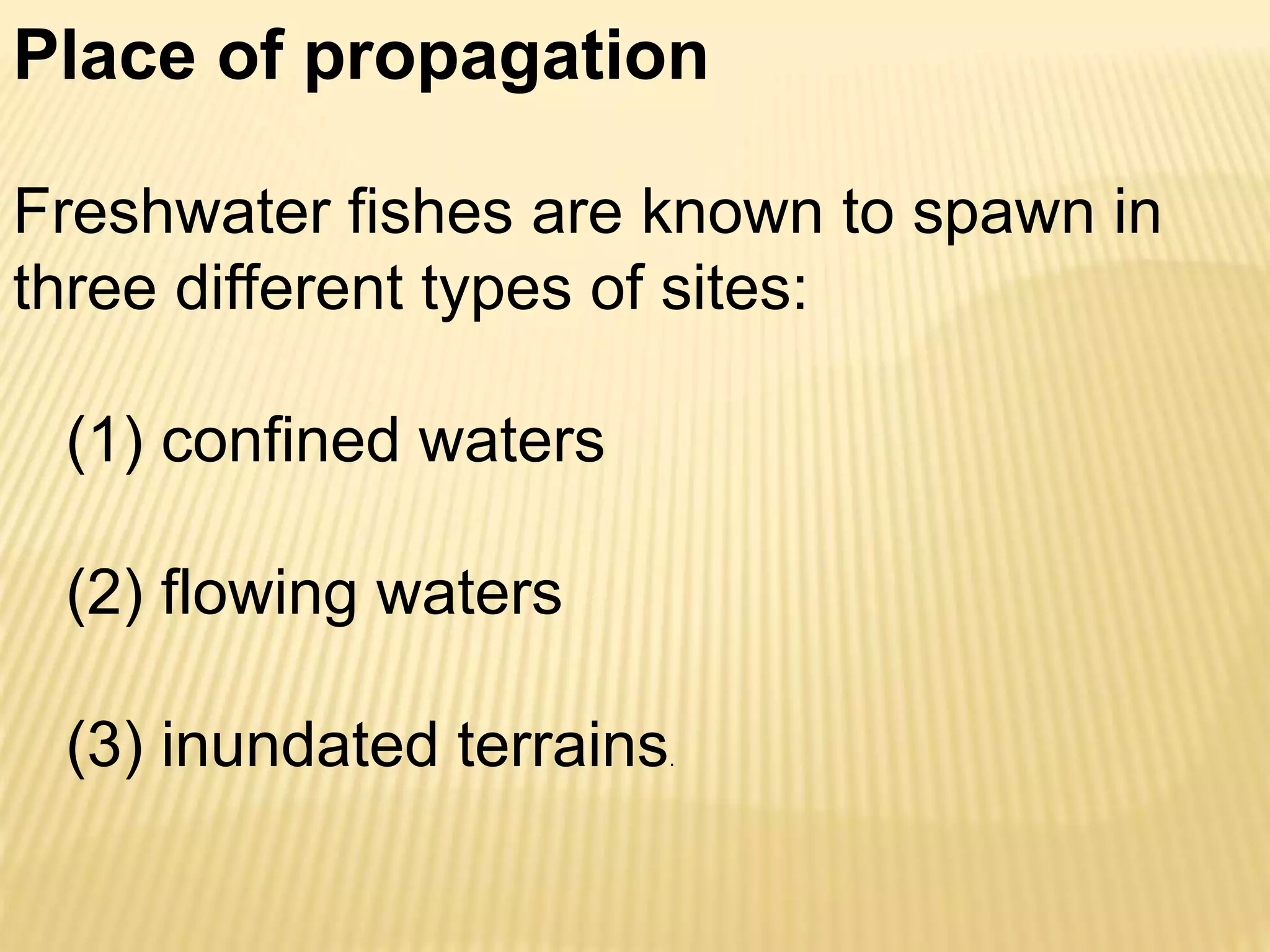 Hatchery management | PPT