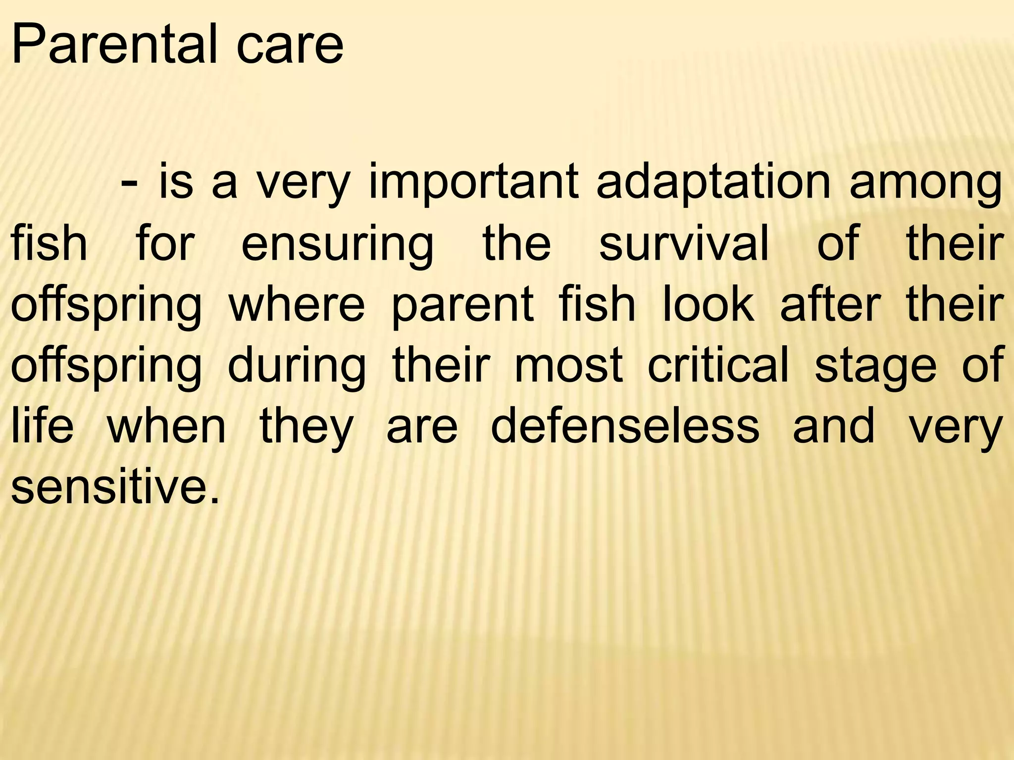 Hatchery management | PPT