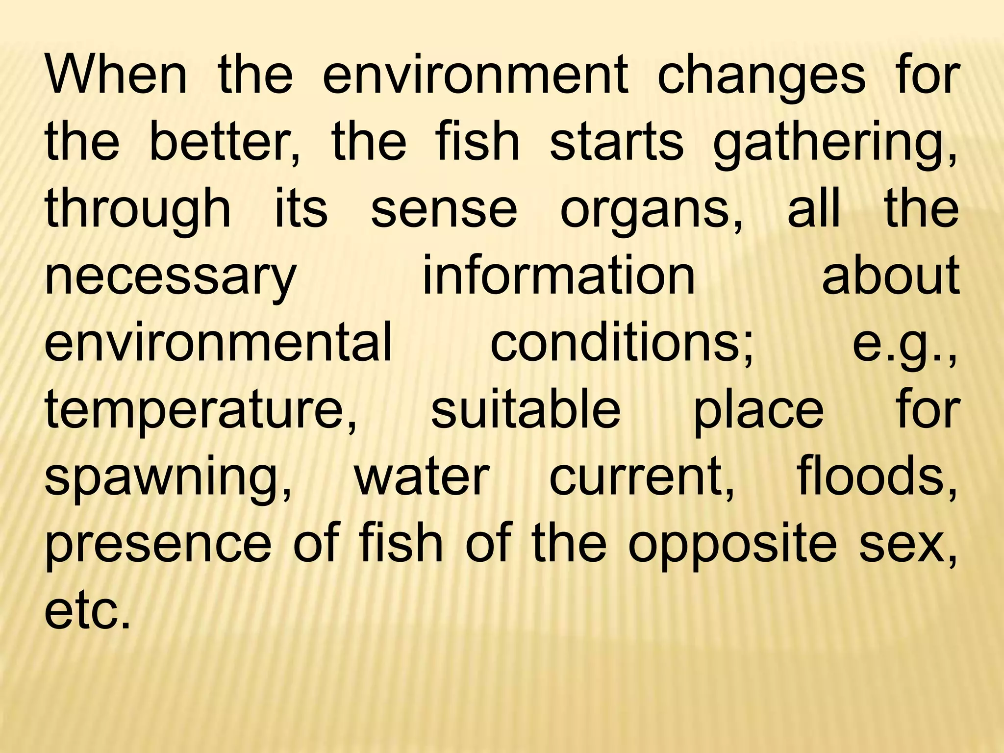 Hatchery management | PPT
