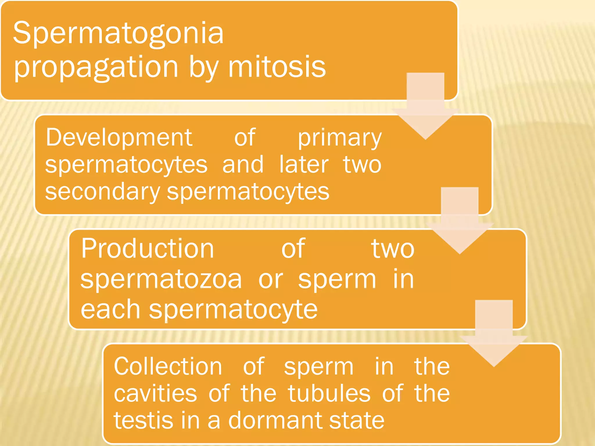 Hatchery management | PPT