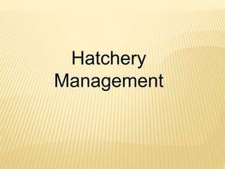 Hatchery management | PPT