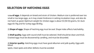 hatchery management poultry science veterinary | PPT