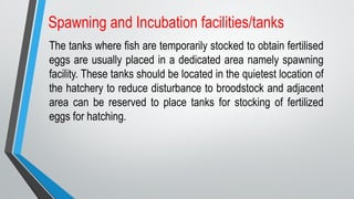 HATCHERY MANAGEMENTTTTTTTTTTTTTT 1 LECTURE.pptx