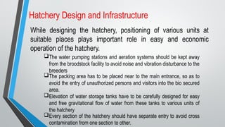 HATCHERY MANAGEMENTTTTTTTTTTTTTT 1 LECTURE.pptx