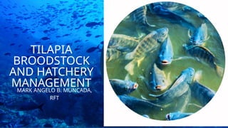 fishs HATCHERY MANAGEMENT LECTURE 3.pptx