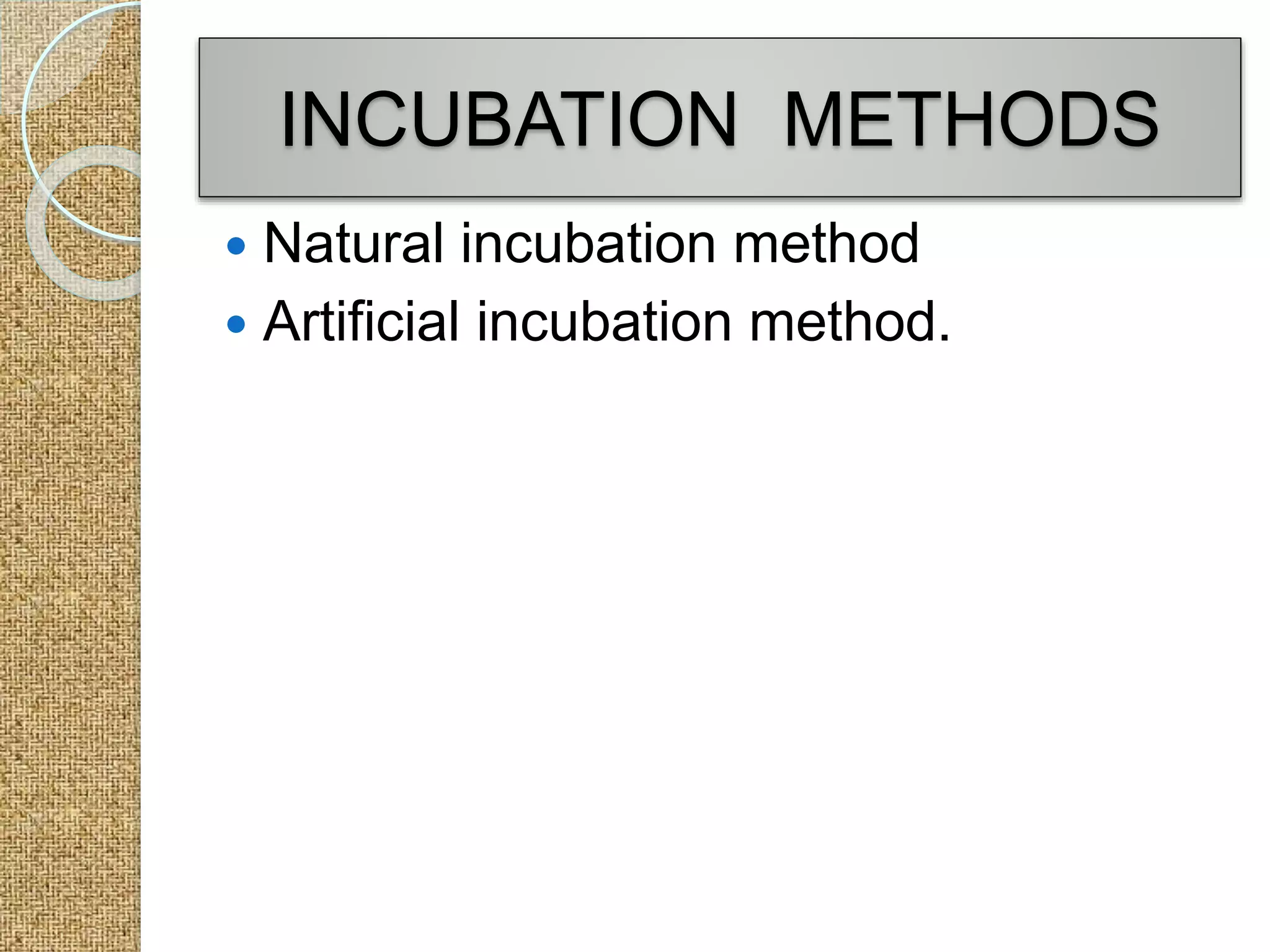 Hatchery management in Poultry (Fumigation) | PPTX
