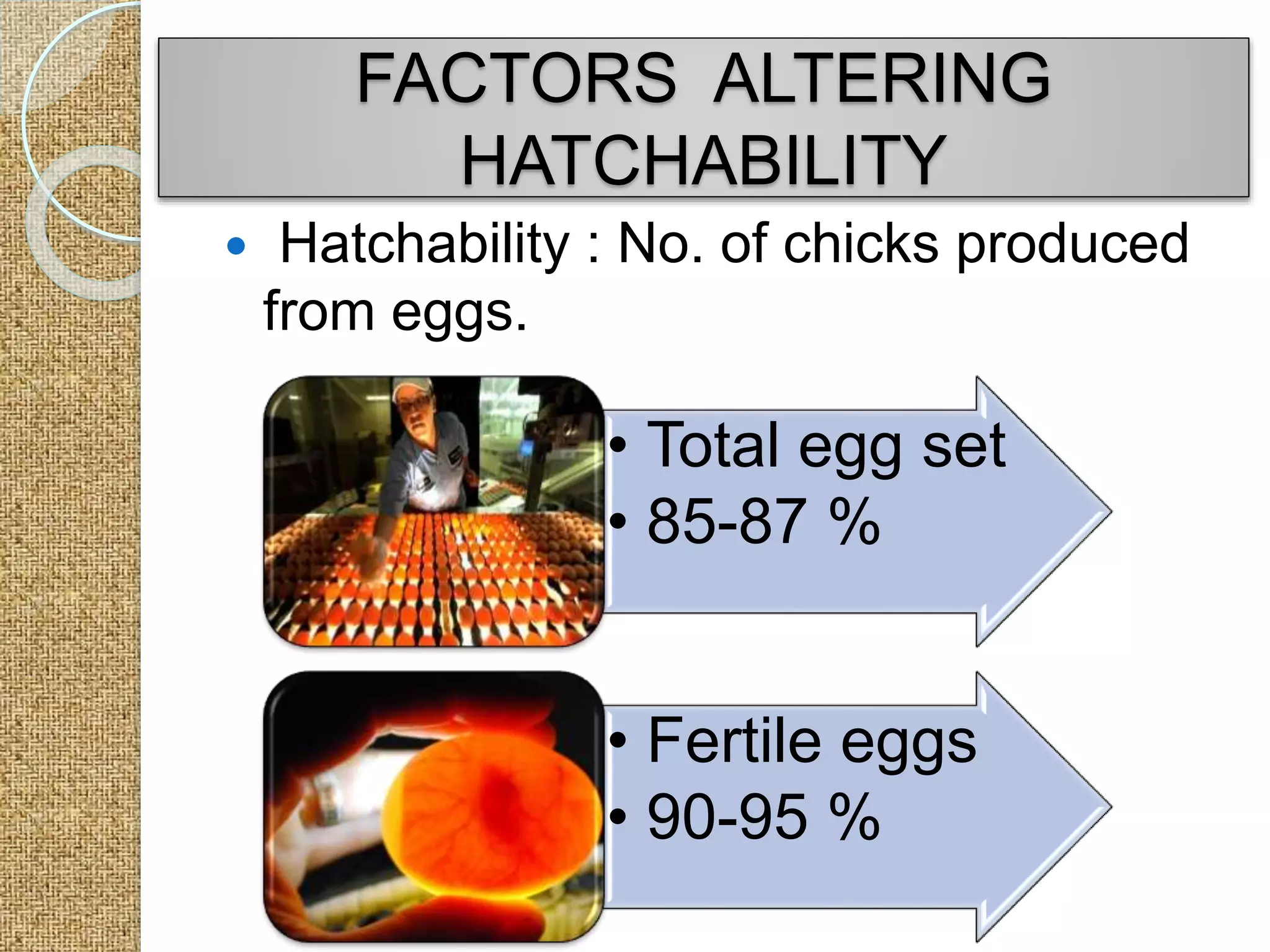 Hatchery management in Poultry (Fumigation) | PPTX
