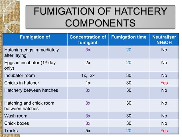 Hatchery management in Poultry (Fumigation) | PPTX