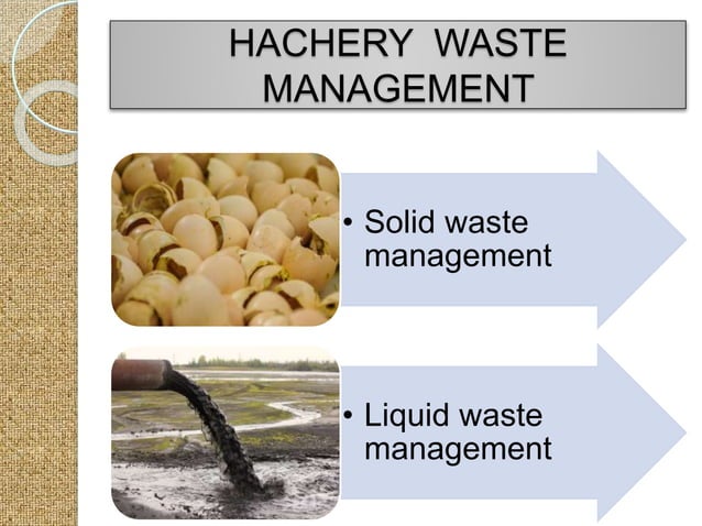 Hatchery management in Poultry (Fumigation) | PPTX