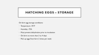 Hatchery Managment.pdf