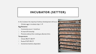 Hatchery Managment.pdf