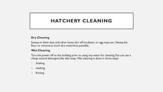 Hatchery Managment.pdf