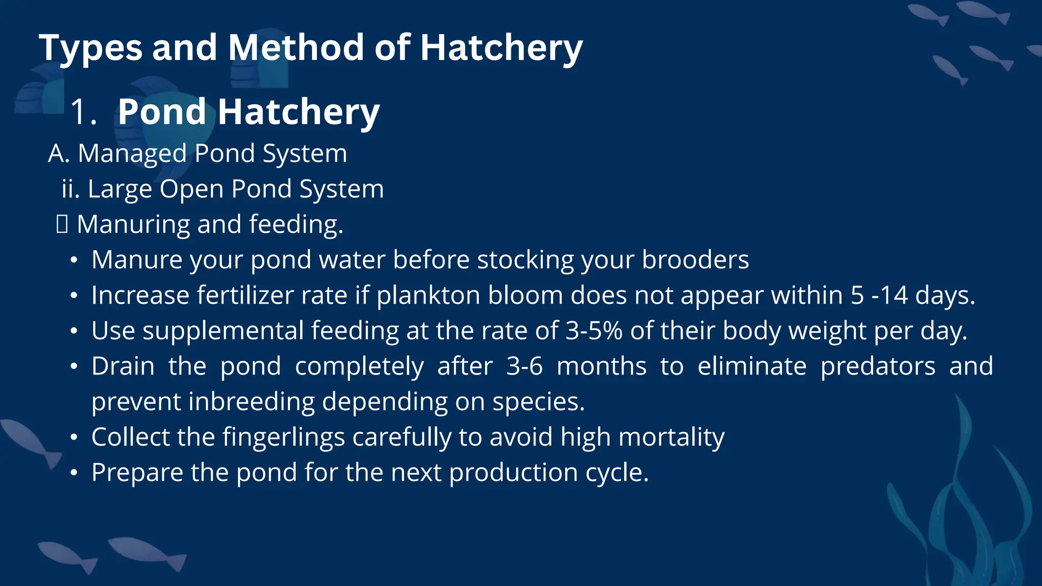 Fish Hatchert powerpoint presentationt.pptx