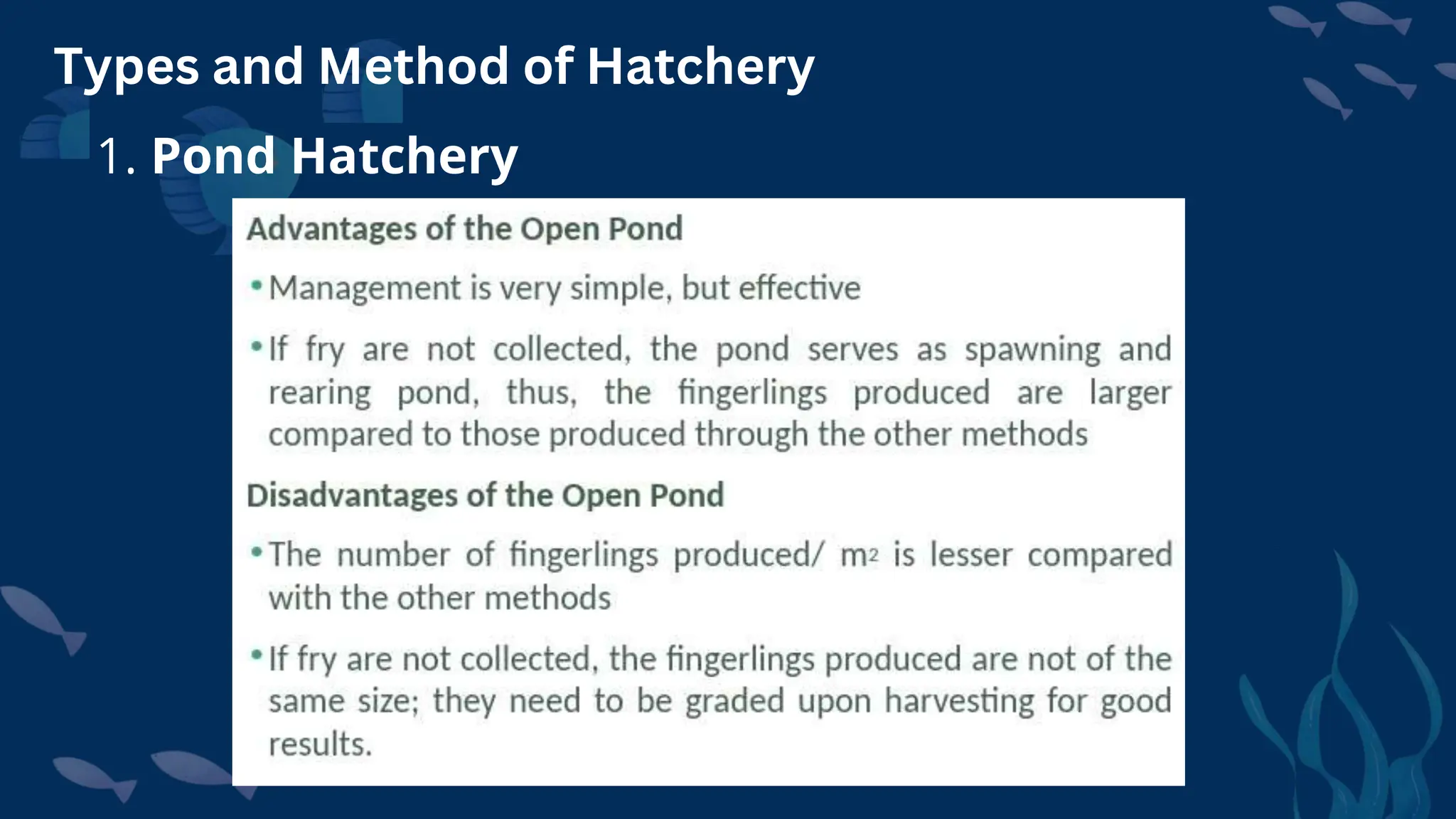 Fish Hatchert powerpoint presentationt.pptx