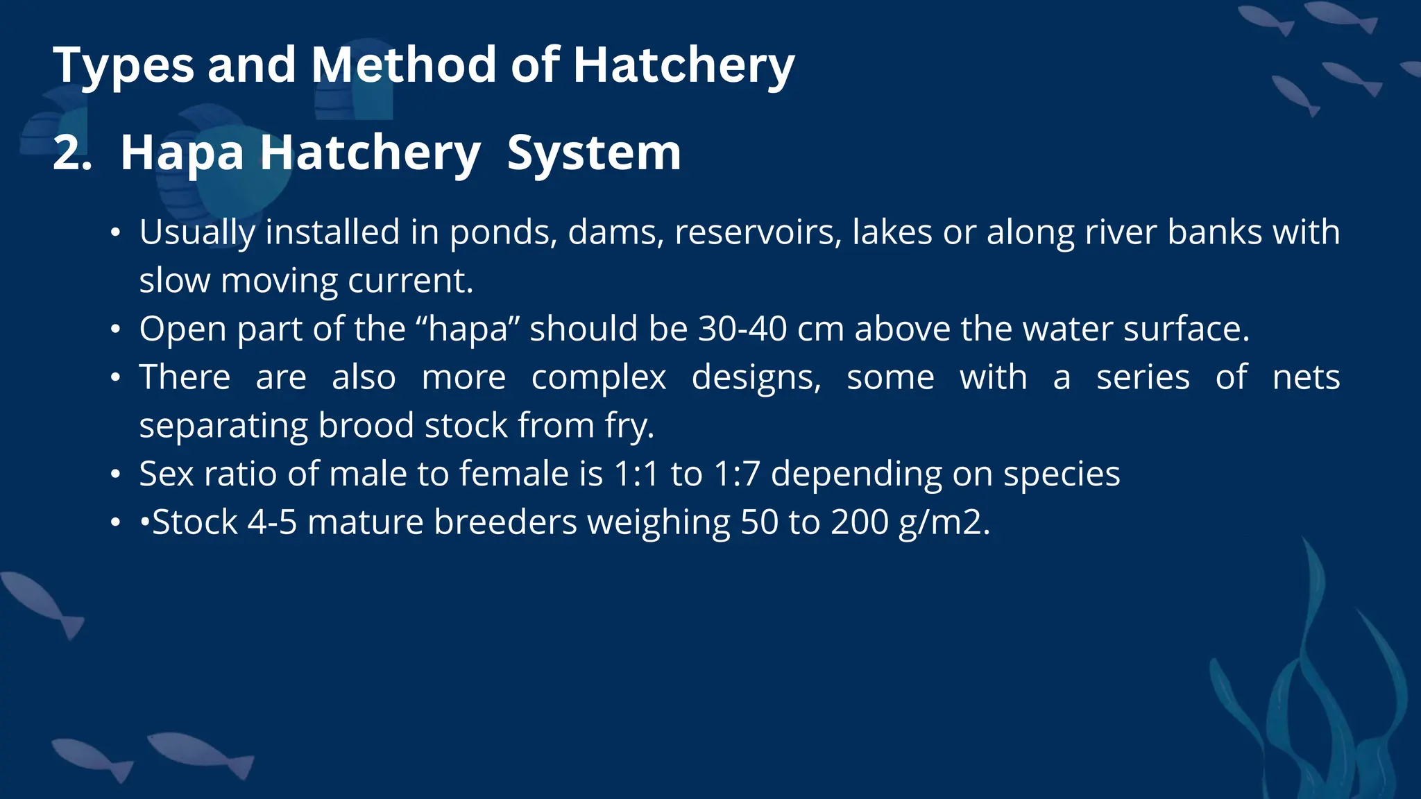 Fish Hatchert powerpoint presentationt.pptx