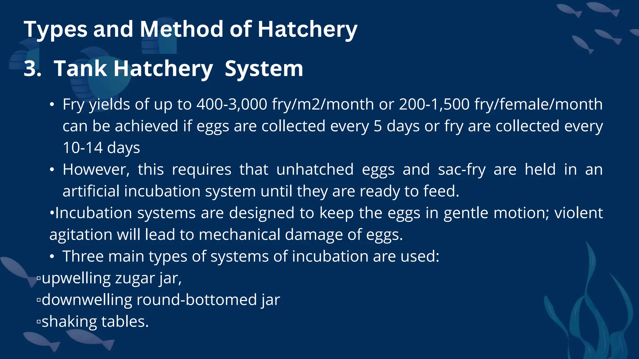 Fish Hatchert powerpoint presentationt.pptx