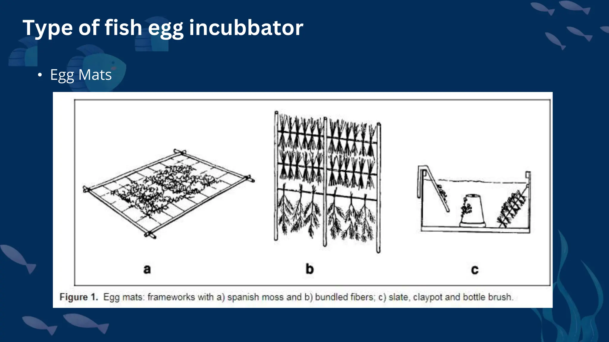 Fish Hatchert powerpoint presentationt.pptx