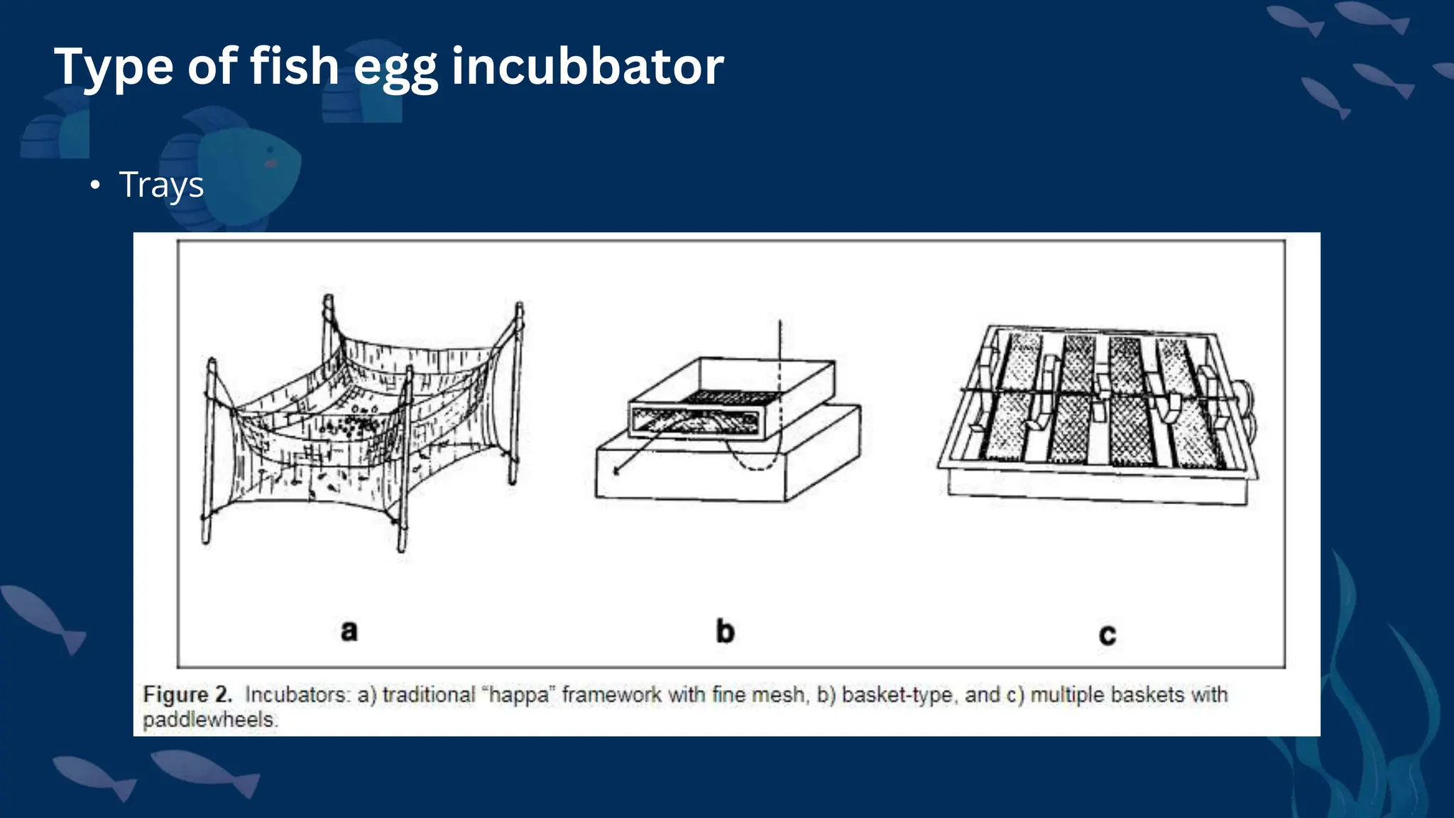 Fish Hatchert powerpoint presentationt.pptx