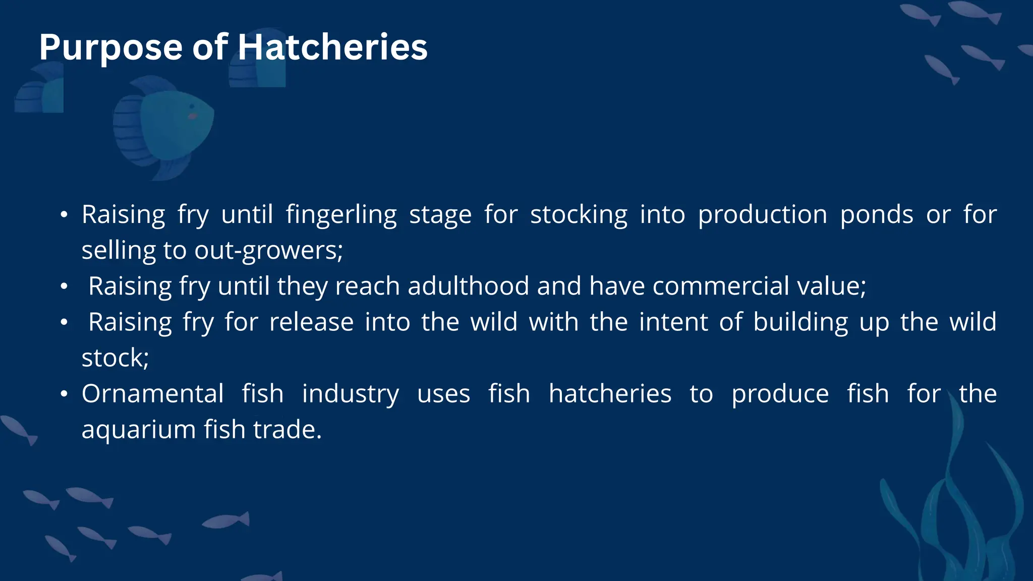 Fish Hatchert powerpoint presentationt.pptx