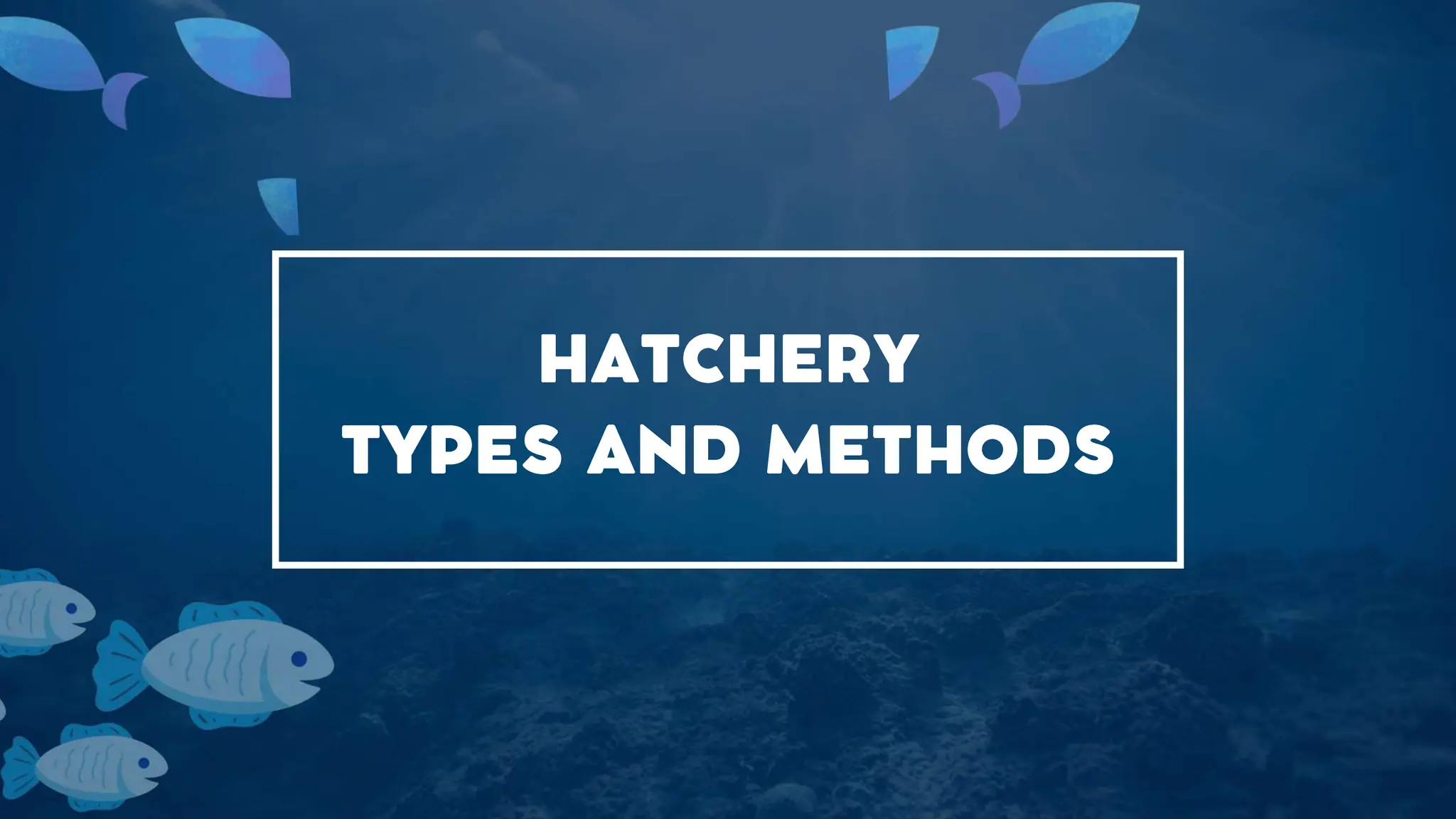 Fish Hatchert powerpoint presentationt.pptx