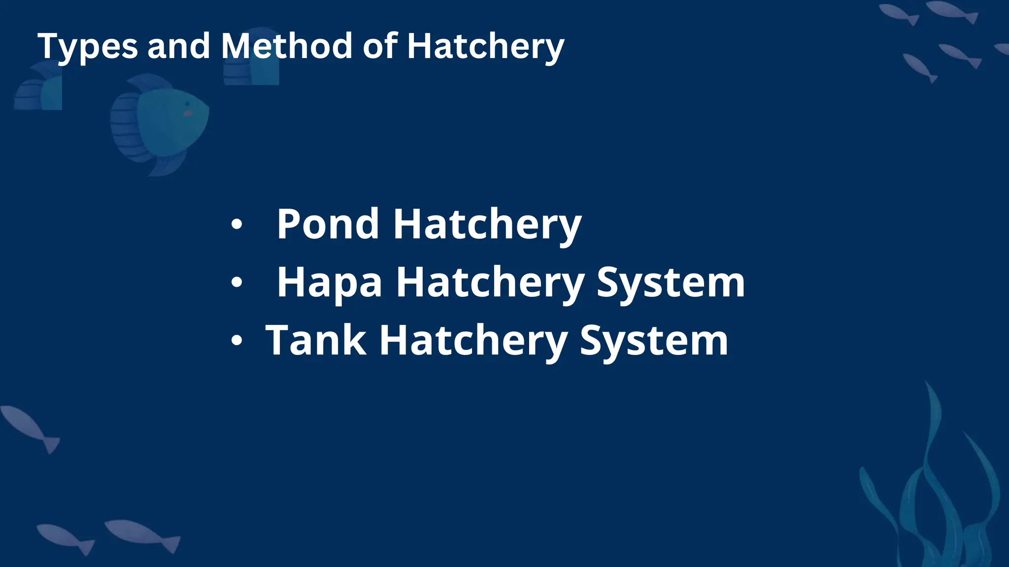 Fish Hatchert powerpoint presentationt.pptx