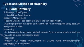 Fish Hatchert powerpoint presentationt.pptx | Zoos & Aquariums ...