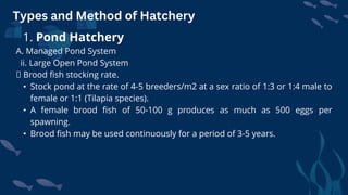 Fish Hatchert powerpoint presentationt.pptx | Zoos & Aquariums ...
