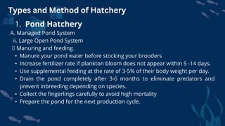 Fish Hatchert powerpoint presentationt.pptx | Zoos & Aquariums ...