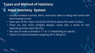 Fish Hatchert powerpoint presentationt.pptx