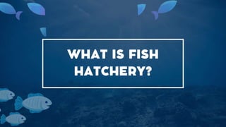 Fish Hatchert powerpoint presentationt.pptx | Zoos & Aquariums ...