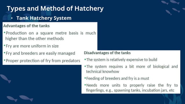 Fish Hatchert powerpoint presentationt.pptx | Zoos & Aquariums ...