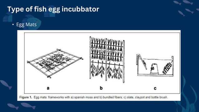 Fish Hatchert powerpoint presentationt.pptx | Zoos & Aquariums ...